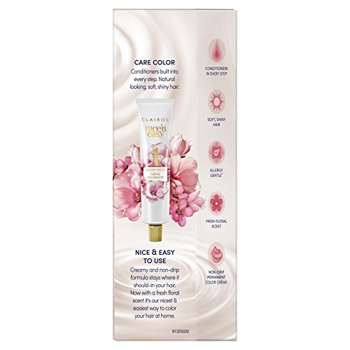 Clairol Nice'n Easy Permanent Hair Dye, 9PB Light Pale Blonde Hair Color, 1 Count