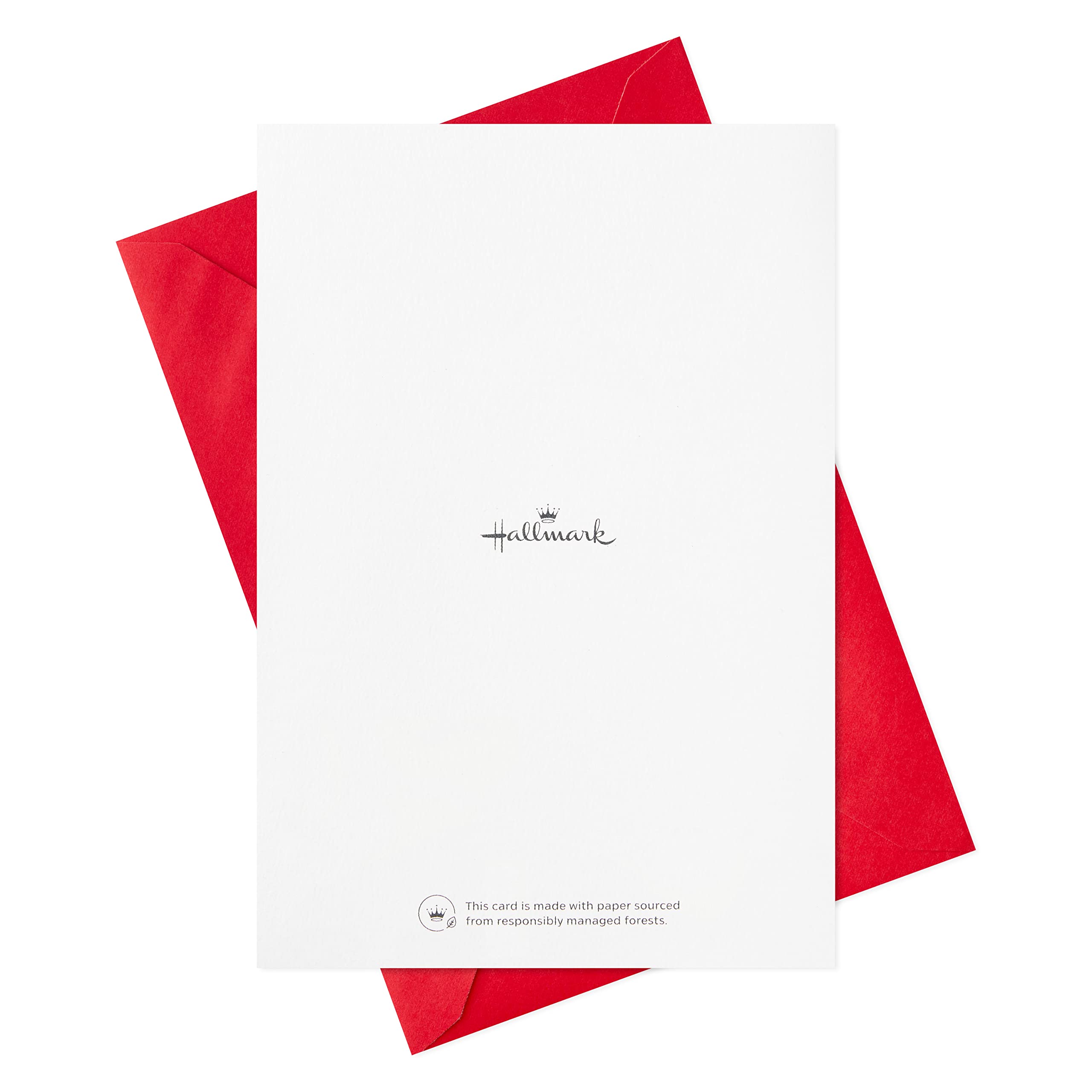 Hallmark Boxed Christmas Cards Assortment, Gold Foil Classic (6 Designs, 36 Cards with Envelopes)