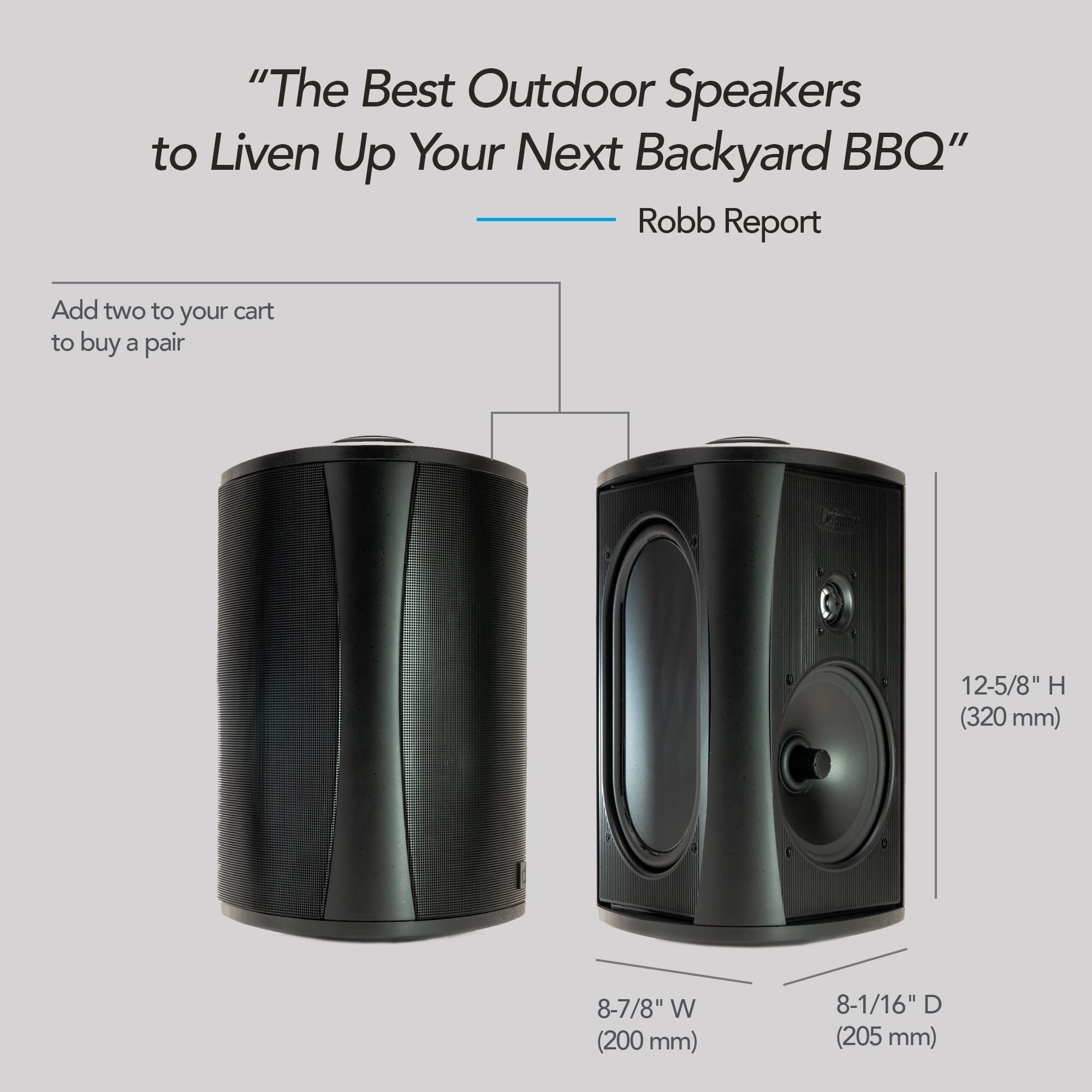 Definitive Technology AW5500 Outdoor Speaker - 5.25-inch Woofer, 175 Watts, High Performance, Built for Extreme Weather (Single, Black)