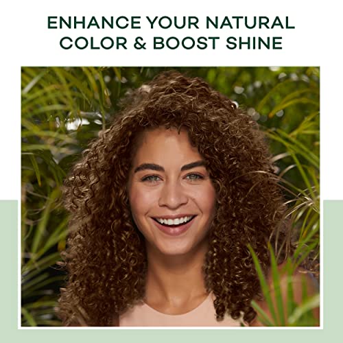 Clairol Natural Instincts Demi-Permanent Hair Dye, 4W Dark Warm Brown Hair Color, Pack of 3