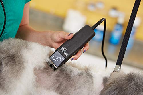 Andis 2-Speed+ Detachable Blade Clipper, Professional Animal/Dog Grooming, Black, AG (12485)