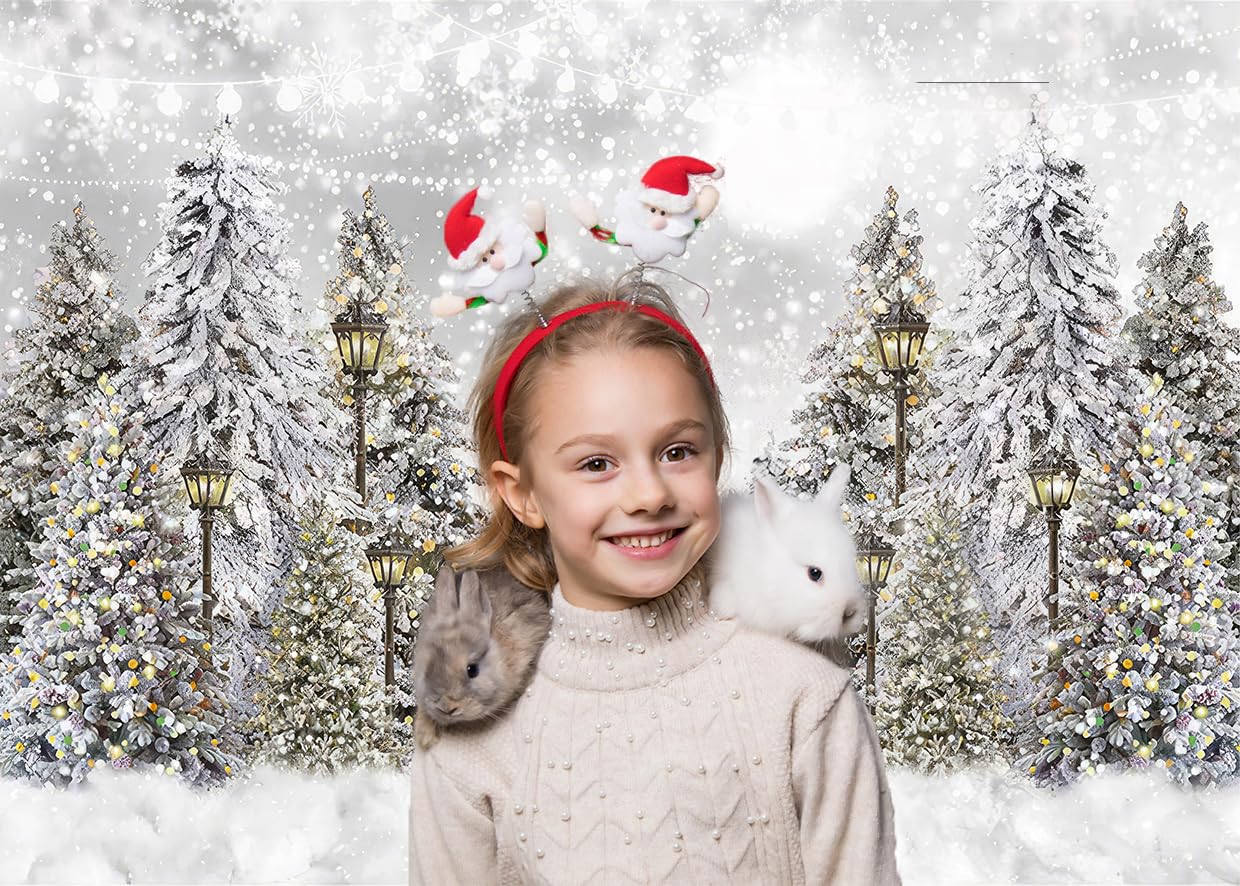 Alltten Winter Backdrop Winter Wonderland Backdrops Christmas Party Photo Banner 7x5ft F100