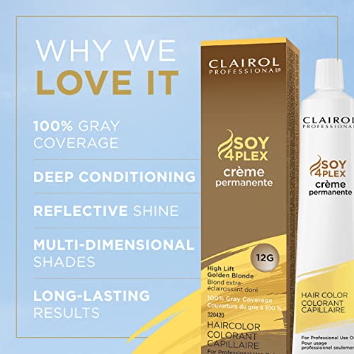 Clairol Professional Permanent Crème Hair Color 12g High Lift Gold Blonde