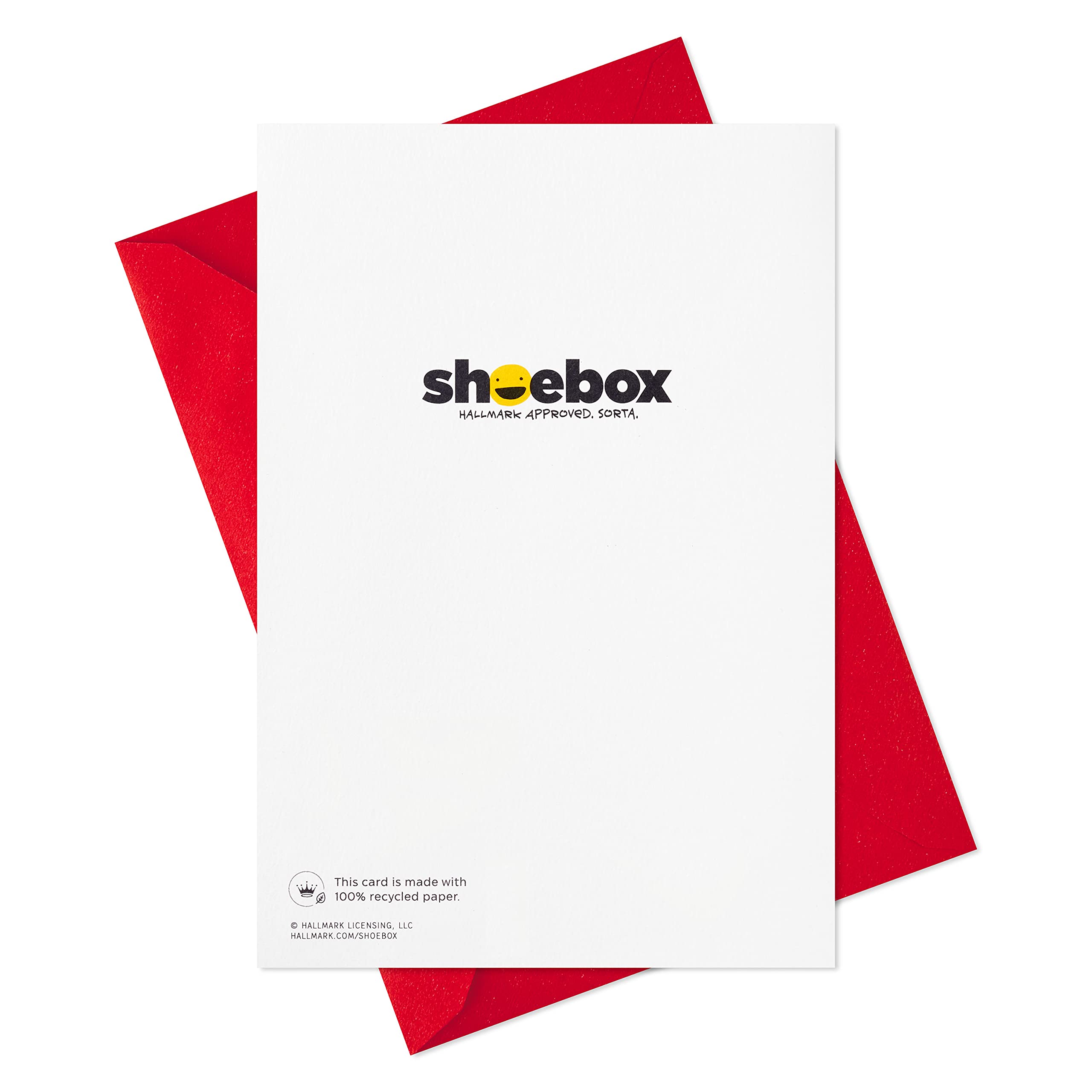 Hallmark Shoebox Funny Boxed Christmas Cards Assortment, Festive Cartoons (4 Designs, 24 Cards with Envelopes)