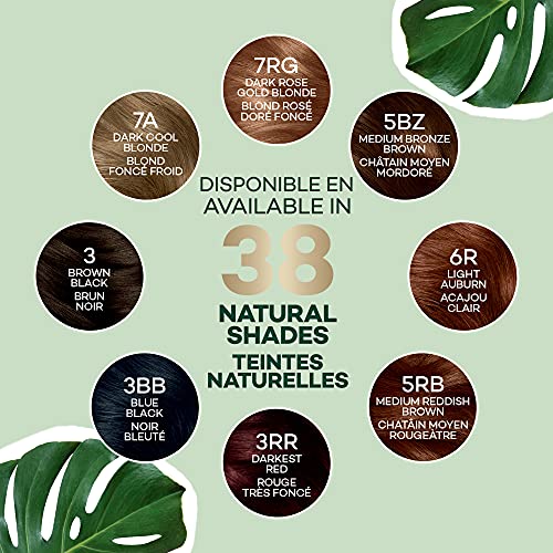 Clairol Natural Instincts Demi-Permanent Hair Dye, 7A Dark Cool Blonde Hair Color, Pack of 1