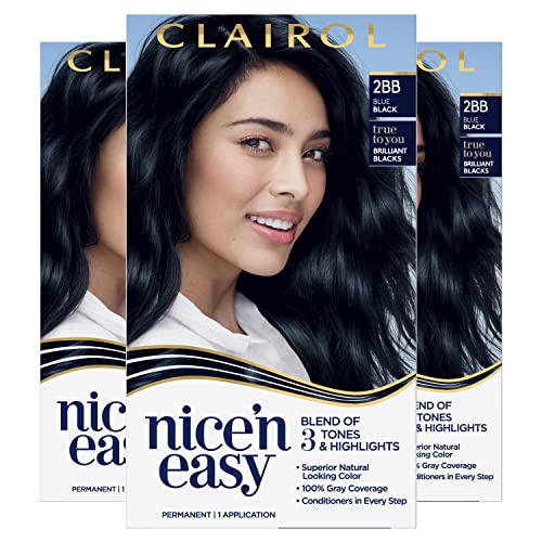 Clairol Nice'N Easy Hair Color CrĂšme, 2BB Blue Black, Pack of 3 (Packaging May Vary)