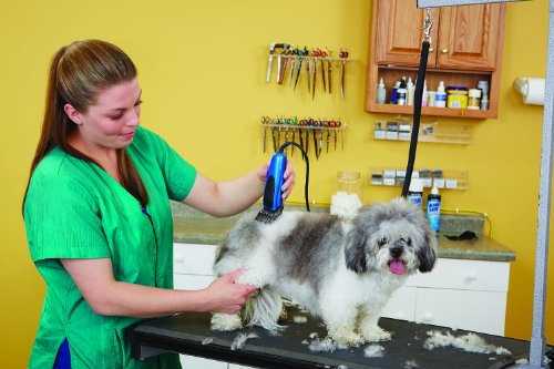 Andis EasyClip Versa Clipper Kit - Blue, Pet Grooming, RACD (60130)