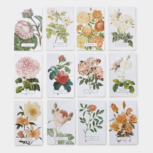 Roses: 100 Postcards from the Archives of The New York Botanical Garden
