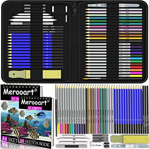DIPAWS 54 Pack Drawing Set Sketching Kit, Pro Art Supplies with 2 Sketchbook, Include Colored, Graphite, Charcoal, Watercolor & Metallic Pencil, for Artists Adults Teens Beginner