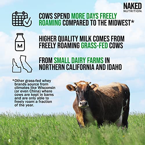 Naked Whey Vanilla Protein β All Natural Grass Fed Whey Protein Powder + Vanilla + Coconut Sugar- 5lb Bulk, GMO-Free, Soy Free, Gluten Free. Aid Muscle Recovery - 61 Servings