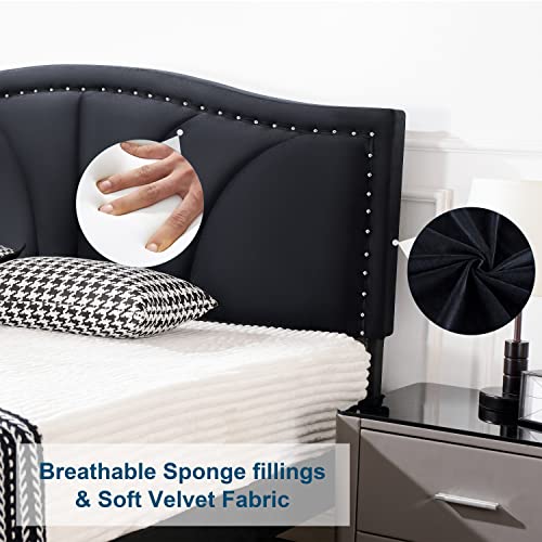 AsKmore Queen Size Bed Frame,Velvet Upholstered Platform Bed with Decorative Line & Nailhead Trim Headboard with Wood Slat Support,No Box Spring Needed,Easy Assembly, Black