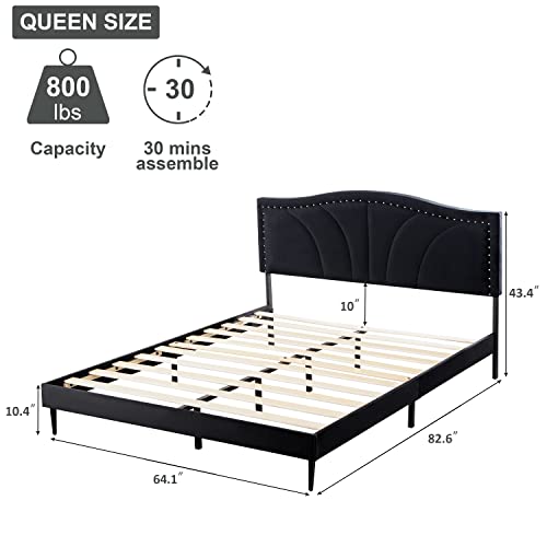 AsKmore Queen Size Bed Frame,Velvet Upholstered Platform Bed with Decorative Line & Nailhead Trim Headboard with Wood Slat Support,No Box Spring Needed,Easy Assembly, Black
