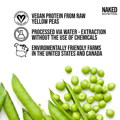 Chocolate Naked Pea Protein - Pea Protein Isolate from North American Farms - 5lb Bulk, Plant Based, Vegetarian & Vegan Protein. Easy to Digest, Non-GMO, Gluten Free, Lactose Free, Soy Free