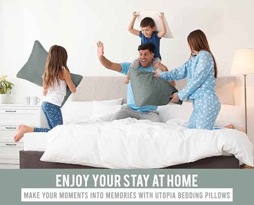 Utopia Bedding Bed Pillows for Sleeping King Size (Light Grey), Set of 2, Cooling Hotel Quality, for Back, Stomach or Side Sleepers