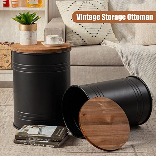 BRIAN & DANY 2 Pack Farmhouse Accent Side Table, Rustic Storage Ottoman Seat Stool with Round Wood Lid, Galvanized Metal Storage Bin for Living Room Furniture, Black
