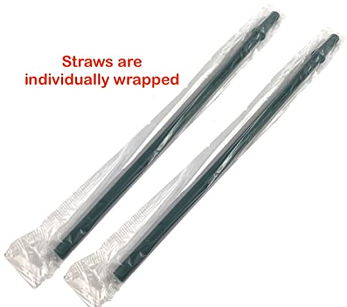Starbucks 2 Pack Reusable Venti Frosted Cold Cup With Lid and Green Straw w/Stopper, 24 fl.oz.