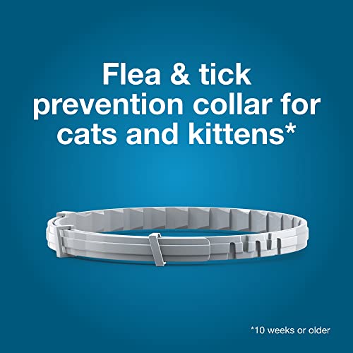 Seresto Cat Vet-Recommended Flea & Tick Treatment & Prevention Collar for Cats | 8 Months Protection
