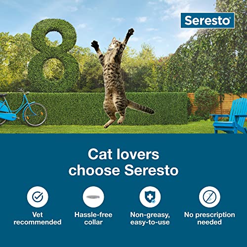 Seresto Cat Vet-Recommended Flea & Tick Treatment & Prevention Collar for Cats | 8 Months Protection