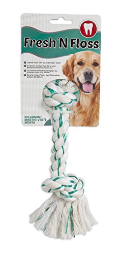 Petmate Aspen/Booda Corporation DBX52302 Fresh and Floss 2-Knot Spearmint Toy for Pets, Medium