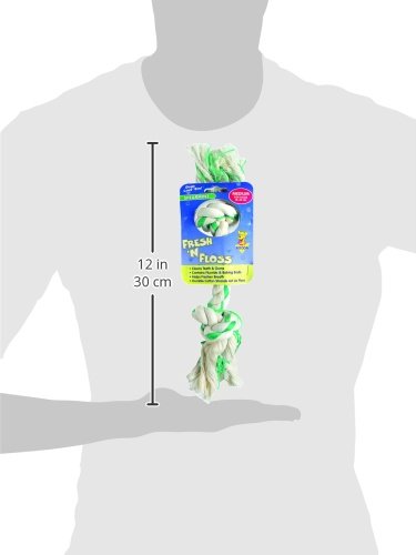 Petmate Aspen/Booda Corporation DBX52302 Fresh and Floss 2-Knot Spearmint Toy for Pets, Medium