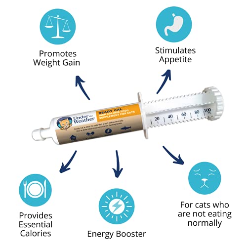 Under the Weather Pet | Ready Cal for Cats 100cc | High Calorie Nutritional Supplement for Weight Gain & Not Eating | 10 Vitamins, 7 Minerals, Omega Fatty Acids