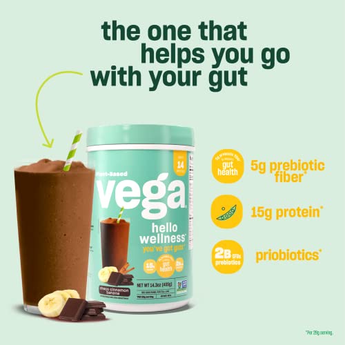 Vega Hello Wellness You’ve Got Guts Blender Free Smoothie, Choco Cinnamon Banana (14 Servings) Plant Based Vegan Protein Powder, 5g Prebiotic Fiber, 0g Added Sugar, 14.3oz (Packaging May Vary)