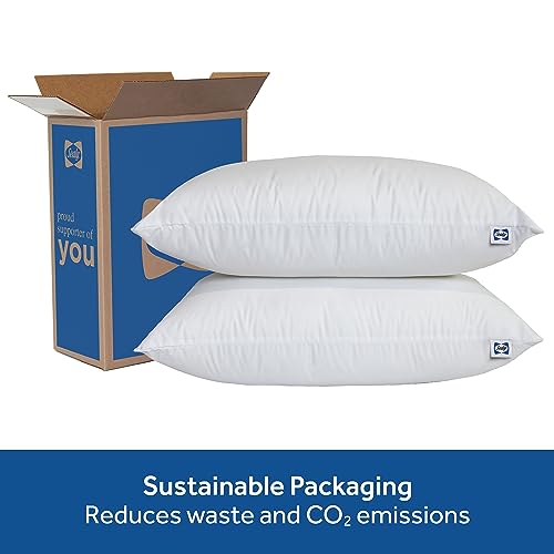 Sealy Pillow, Clean Luxury Slumber Bed Pillow with Hypoallergenic Fiberfill, King Pillows - 2 Pack