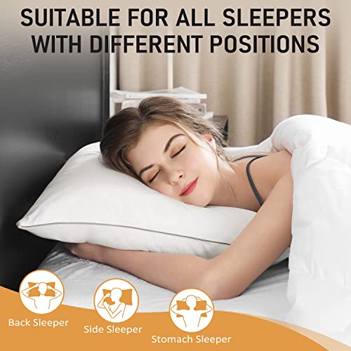 downluxe Premium Down Feather Pillow Luxury Hotel Collection - Bed Pillow for Sleeping with Silver Piped Edges, King Size (20"×36", Pack of 2)