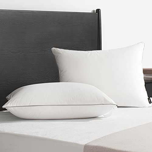 downluxe Premium Down Feather Pillow Luxury Hotel Collection - Bed Pillow for Sleeping with Silver Piped Edges, King Size (20"×36", Pack of 2)