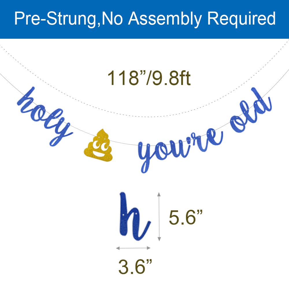 Holy Shit You're Old Banner,Pre-Strung,Funny Blue Glitter Garlands for 21st 30th 40th 50th 60th 70th 80th 90th Birthday Party Decorations Supplies,Letters Blue,ZHAOFEIHN