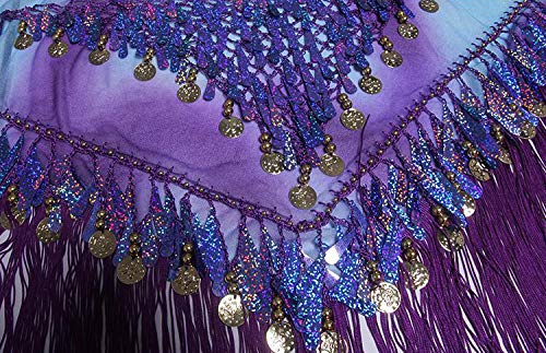 Lauthen.S Belly Dance Hip Scarf with Tassels Sequins, Triangle Coins Wrap Skirt Music Festival Clothing Purle