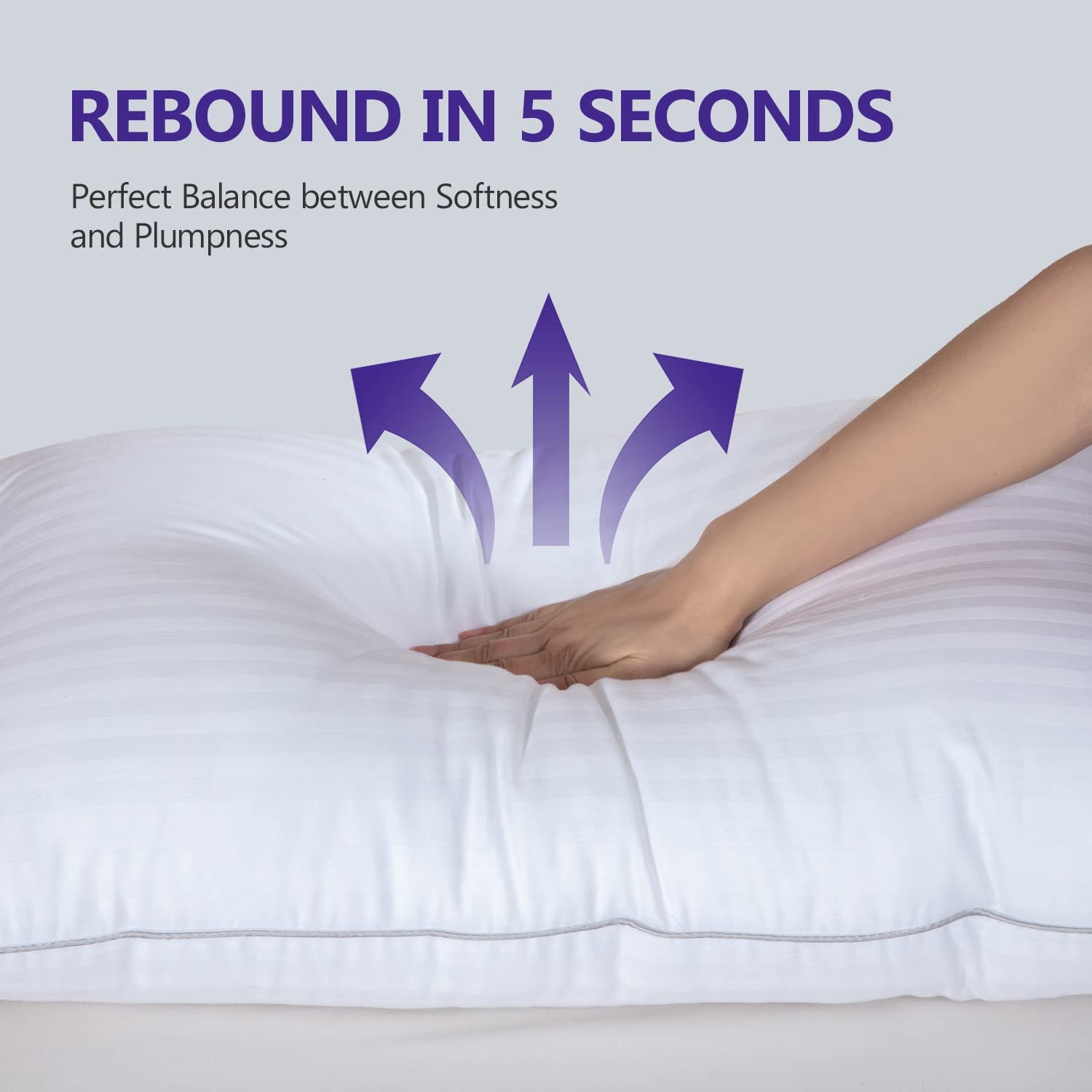 HOMELAB 2 Pack King Pillows for Sleeping - 100% Breathable Cotton Case, Soft Plush Down Alternative Filler, Medium to Soft Neck Support for Side Back and Stomach Sleepers, 20x36