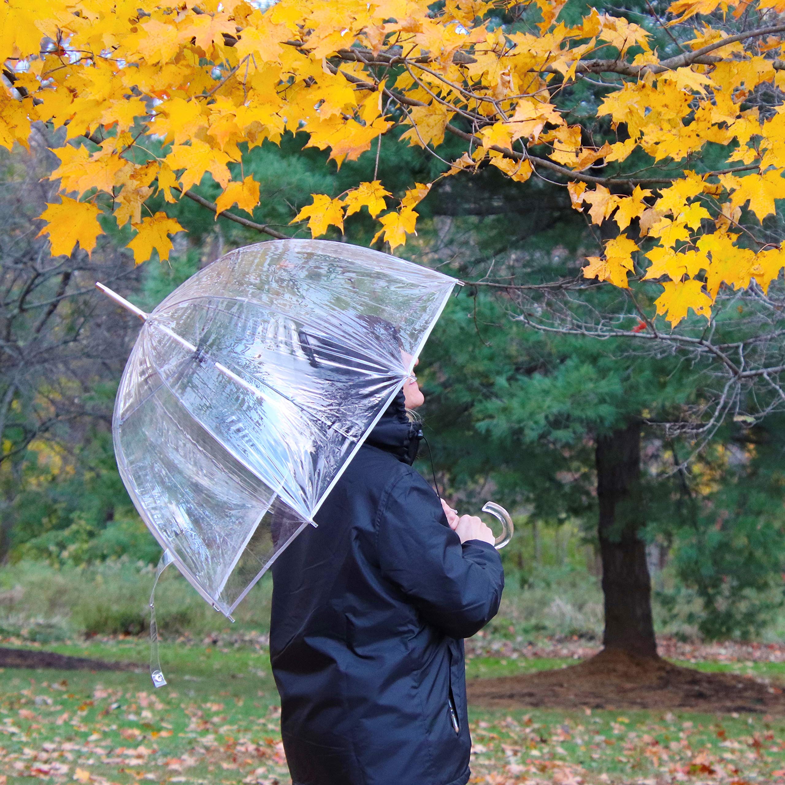 totes Clear Bubble Umbrella with Dome Canopy, Lightweight Design, Wind and Rain Protection, Birds on a Wire, Adults-51