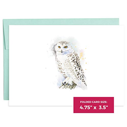 L'apostrophe Polar Bear, Seal, Fox, Snowy Owl Note Cards - Blank Inside with Envelopes - Greeting Notecards - Watercolor Set of Winter Animals - Thank You Notes