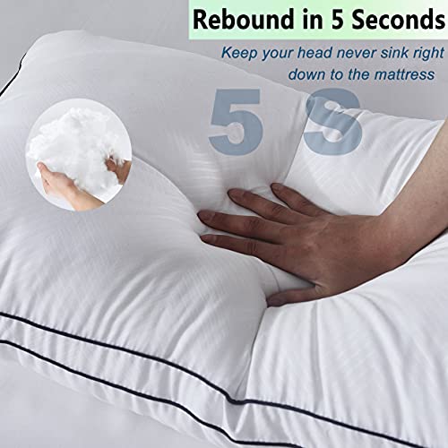 Gehannah Bed Pillows for Sleeping(2 Pack), Luxury Plush Soft Pillow with Home and Hotel, Breathable Microfiber Cover Skin-Friendly Pillows for Side Back Sleepers