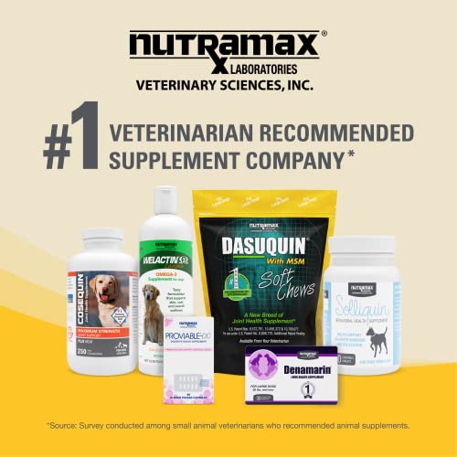 Nutramax Dasuquin with MSM Joint Health Supplement for Large Dogs - With Glucosamine, MSM, Chondroitin, ASU, Boswellia Serrata Extract, and Green Tea Extract, 150 Soft Chews