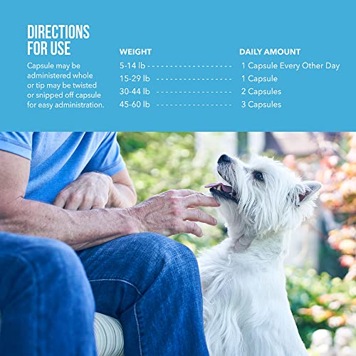 Free Form Snip Tips Sm Dog/Cat - 60ct