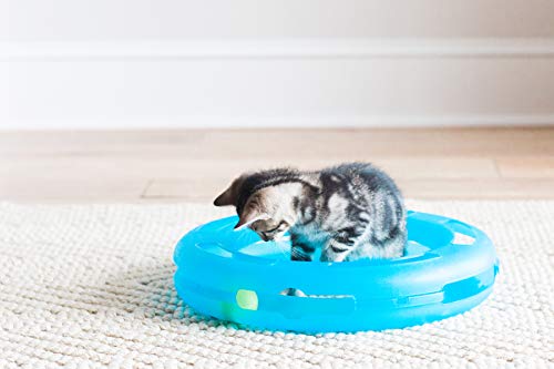 Petmate FAT CAT Interactive Cat Toys - Crazy Circle with Catnip Ball by Petmate
