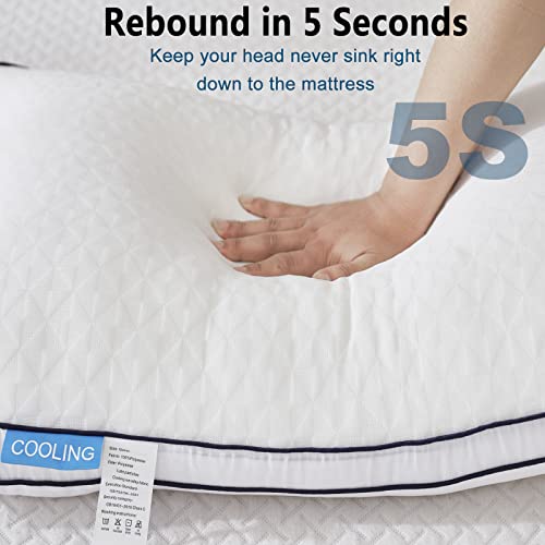 Gehannah Bed Pillows for Sleeping(2 Pack) - King Size Set of 2, Cooling Luxury Plush Soft Pillow with Home and Hotel, Breathable Microfiber Cover Skin-Friendly Pillows for Side Back Sleepers