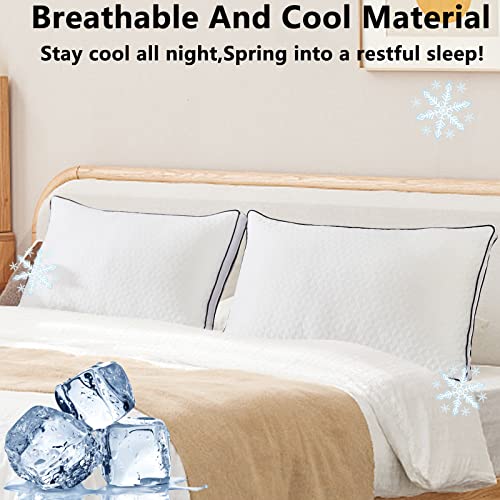 Gehannah Bed Pillows for Sleeping(2 Pack) - King Size Set of 2, Cooling Luxury Plush Soft Pillow with Home and Hotel, Breathable Microfiber Cover Skin-Friendly Pillows for Side Back Sleepers