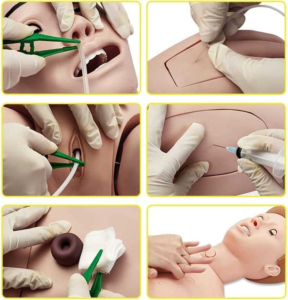 WFZY Training Manikin Model Mannequin Patient Education Teaching Model 170 cm PVC Anatomical Mannequin, Body Care Simulator Model for Nursing Medical Training Teaching
