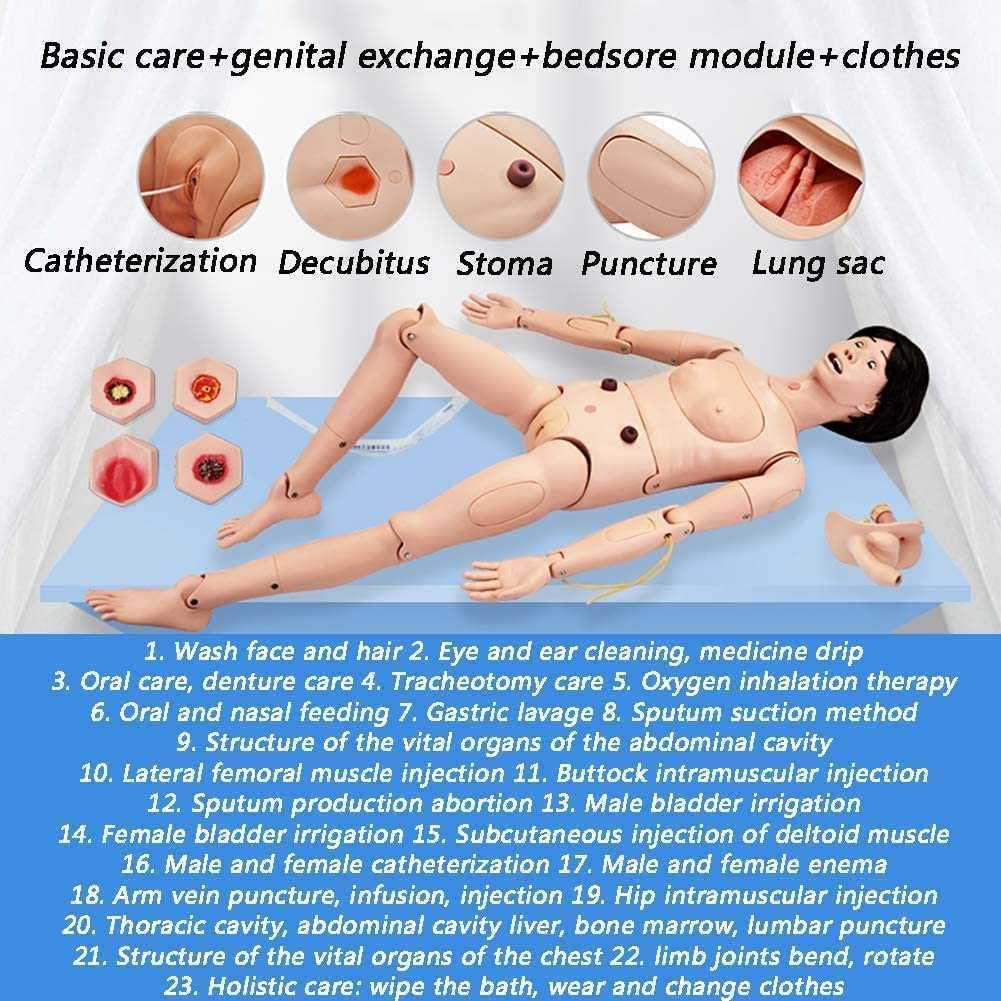 WFZY 5.5ft Patient Care Human Model PVC Anatomical Human Model Female Nursing Mannequin Removable Demonstration Human for Students Education Teaching Skills