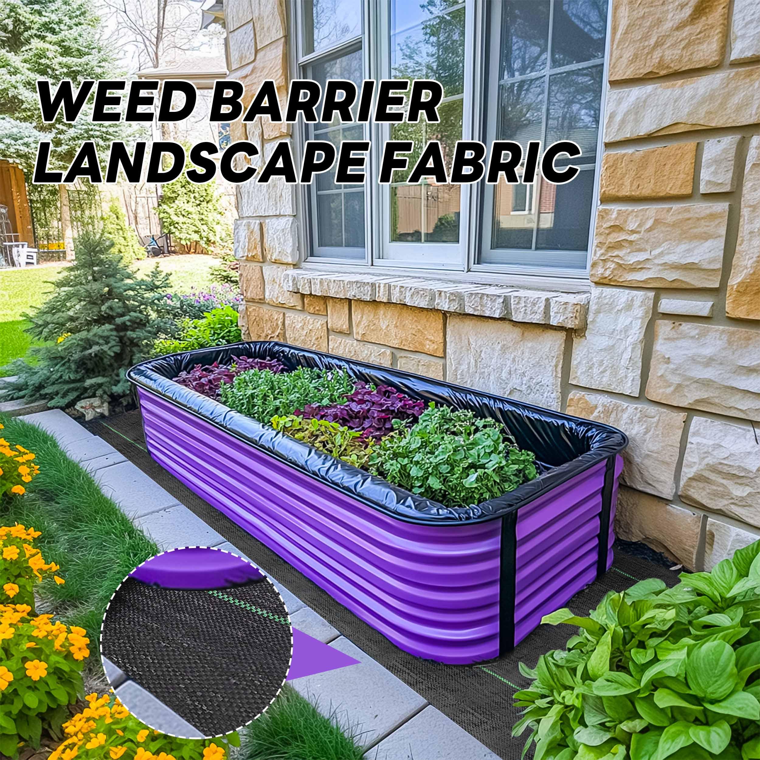 GRASSCLUB 4ft x 50ft Weed Barrier Landscape Fabric Heavy Duty Premium Weed Control Fabric Durable & Eco-Friendly Weed Block Gardening Mat Landscaping Fabric