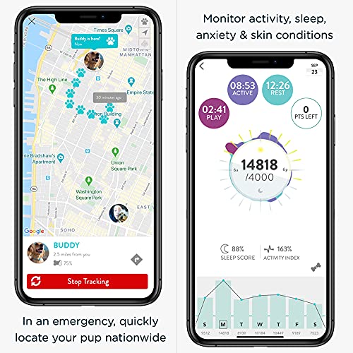 Seresto 8-Month Flea & Tick Prevention Collar for Small Dogs Up to 18 lbs Plus FitBark GPS Dog Tracker | Buy Together and Get Free 1-Year GPS Subscription ($255.33 Value)
