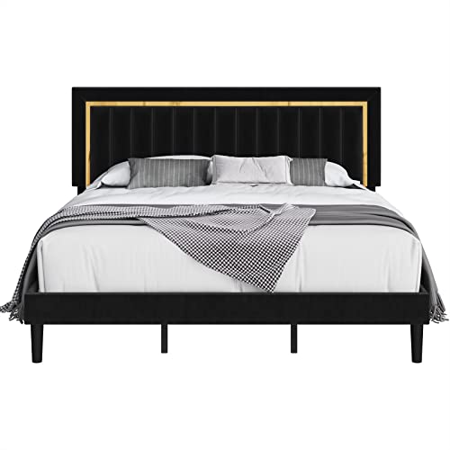 HITHOS King Size Bed Frame with Adjustable Tufted Headboard, Velvet Upholstered Platform Bed Frame with Gold Trim, Heavy Duty Mattress Foundation with Steel Frame, Easy-Assembly Slats (Black, King)