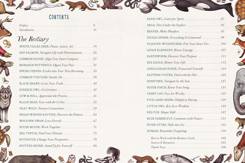 The Illustrated Bestiary: Guidance and Rituals from 36 Inspiring Animals (Wild Wisdom)