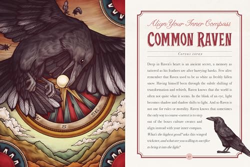 The Illustrated Bestiary: Guidance and Rituals from 36 Inspiring Animals (Wild Wisdom)
