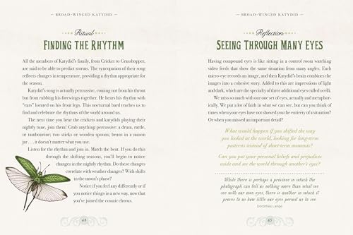 The Illustrated Bestiary: Guidance and Rituals from 36 Inspiring Animals (Wild Wisdom)