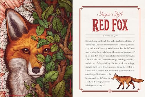 The Illustrated Bestiary: Guidance and Rituals from 36 Inspiring Animals (Wild Wisdom)