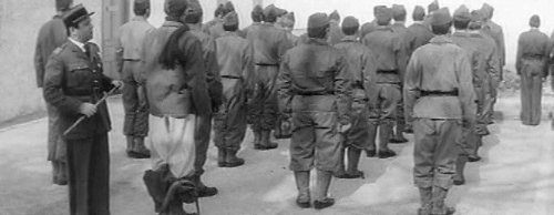 Tire Au Flanc (The Army Game)